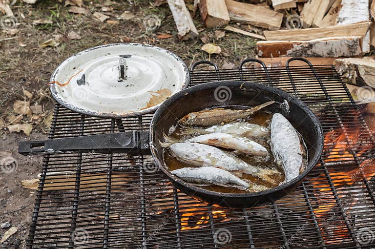 A fish stock image. Image of burn, firewood, prepare - 103166845