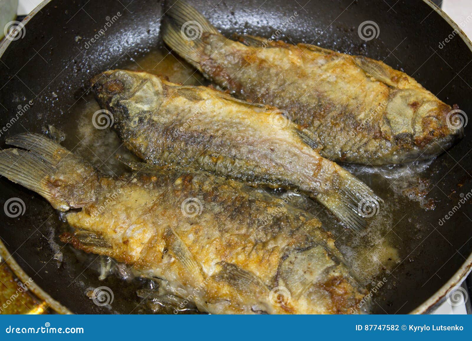 Fish fried on pan stock photo. Image of garnish, cook - 87747582