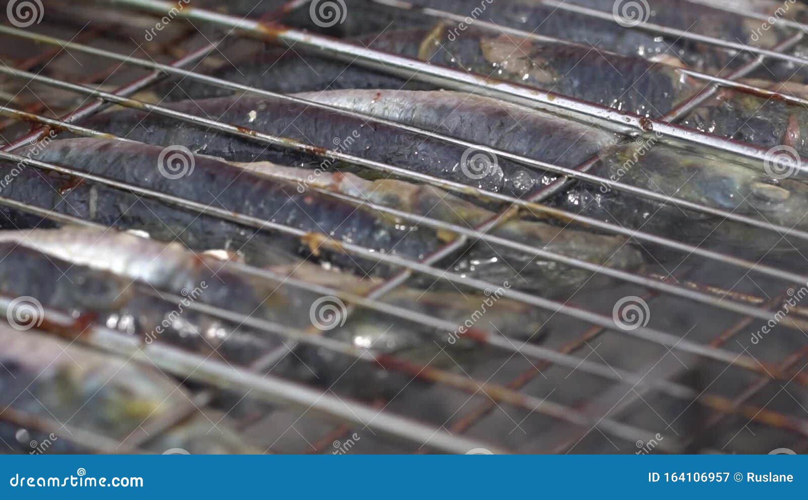 Fish fried at the stake stock video. Video of diet, baked - 164106957