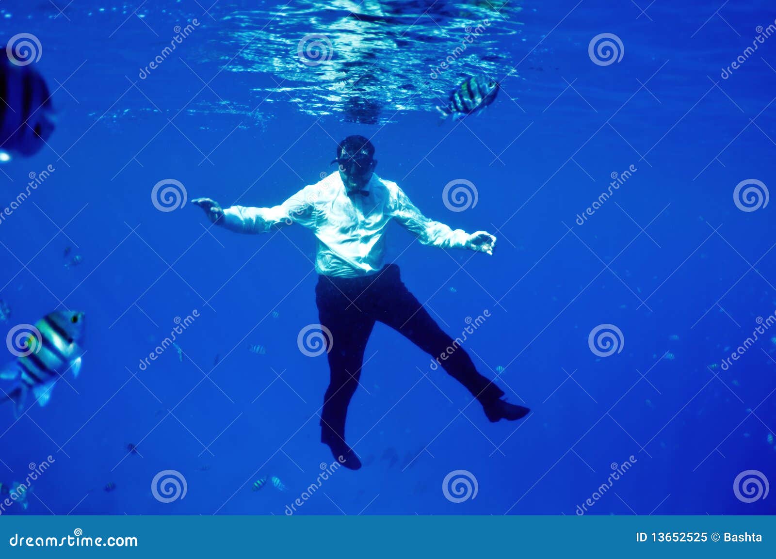 Fish friend stock image. Image of standing, striped, blue - 13652525