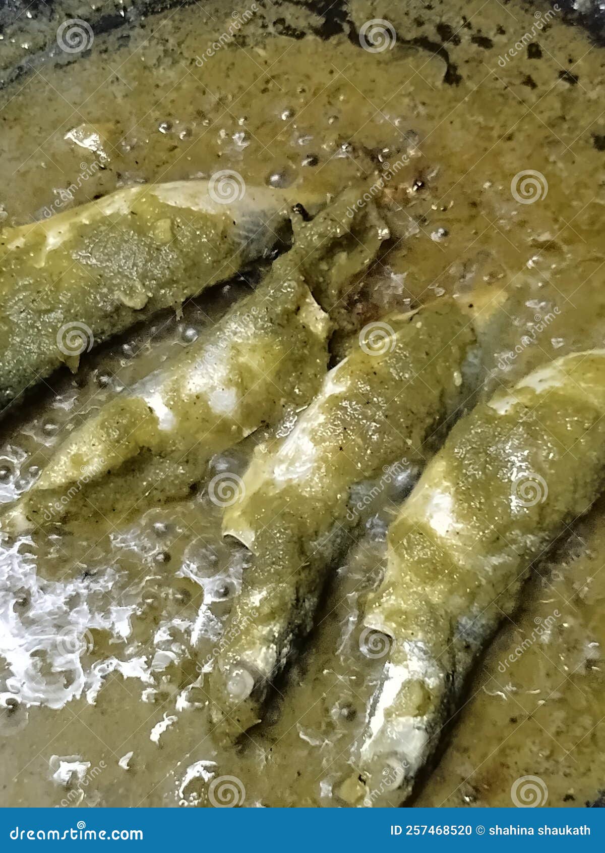 Fish fry masala stock photo. Image of masala, masa, macrel - 257468520