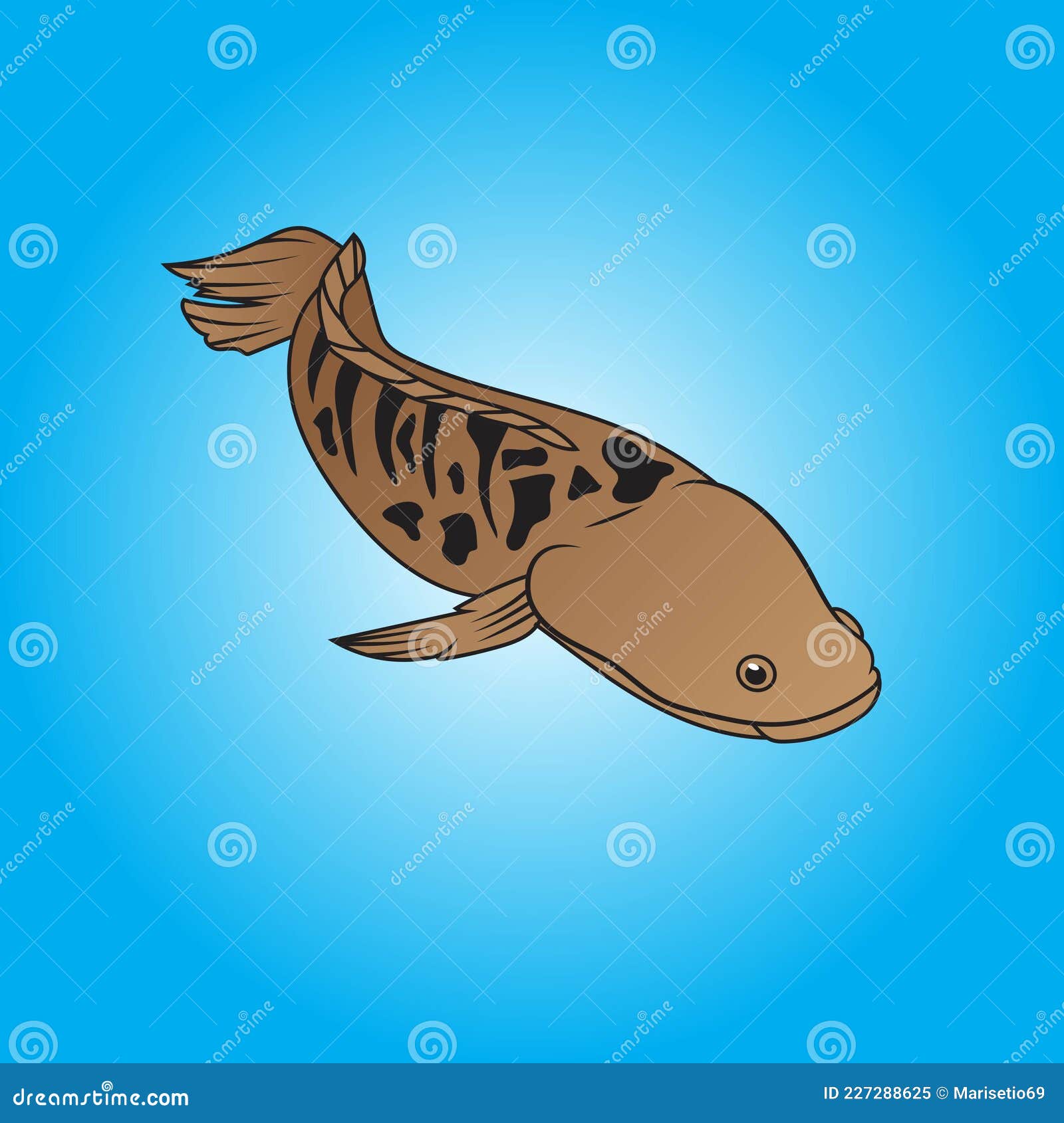 Beautiful Channa Snakehead Fish Element Sea Artwork Cartoon Vector ...