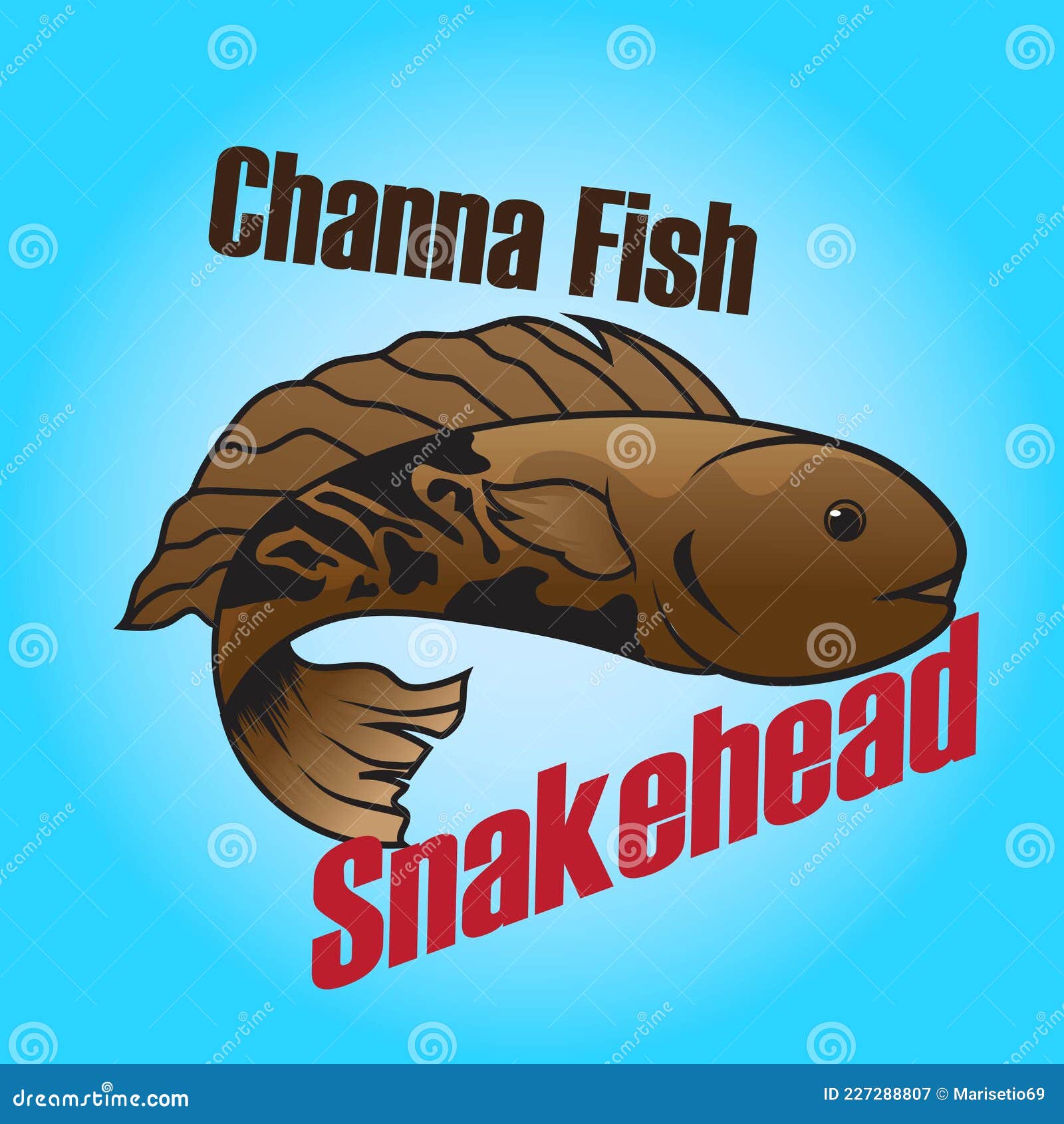 Beautiful Channa Snakehead Fish Element Sea Artwork Cartoon Vector ...