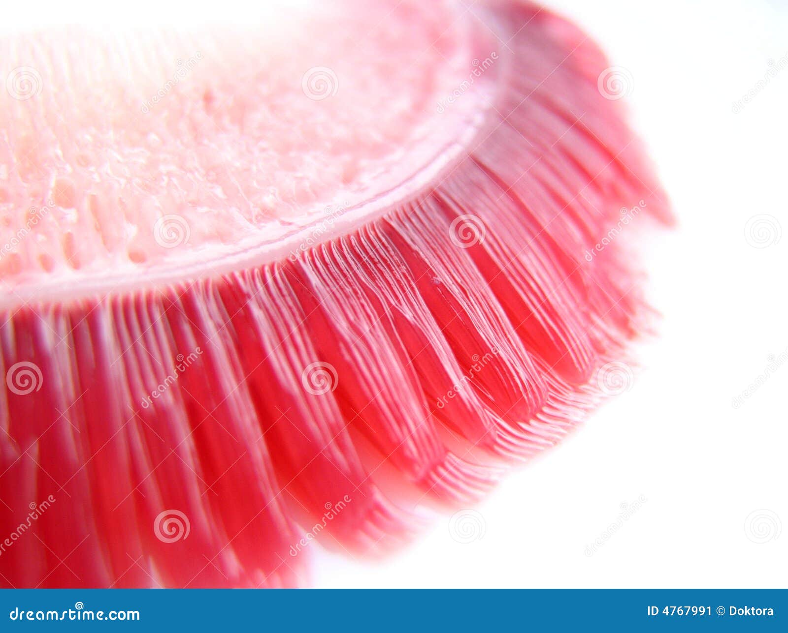 7,312 Fish Gills Stock Photos - Free & Royalty-Free Stock Photos from ...