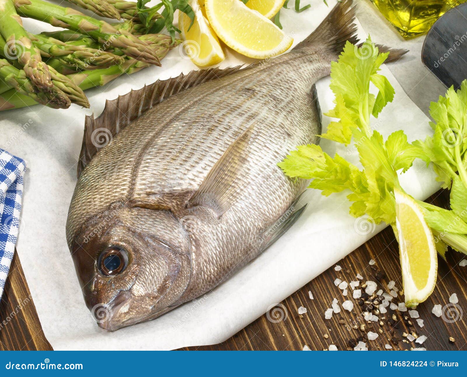 Fish - Gilthead Seabream stock photo. Image of natural - 146824224
