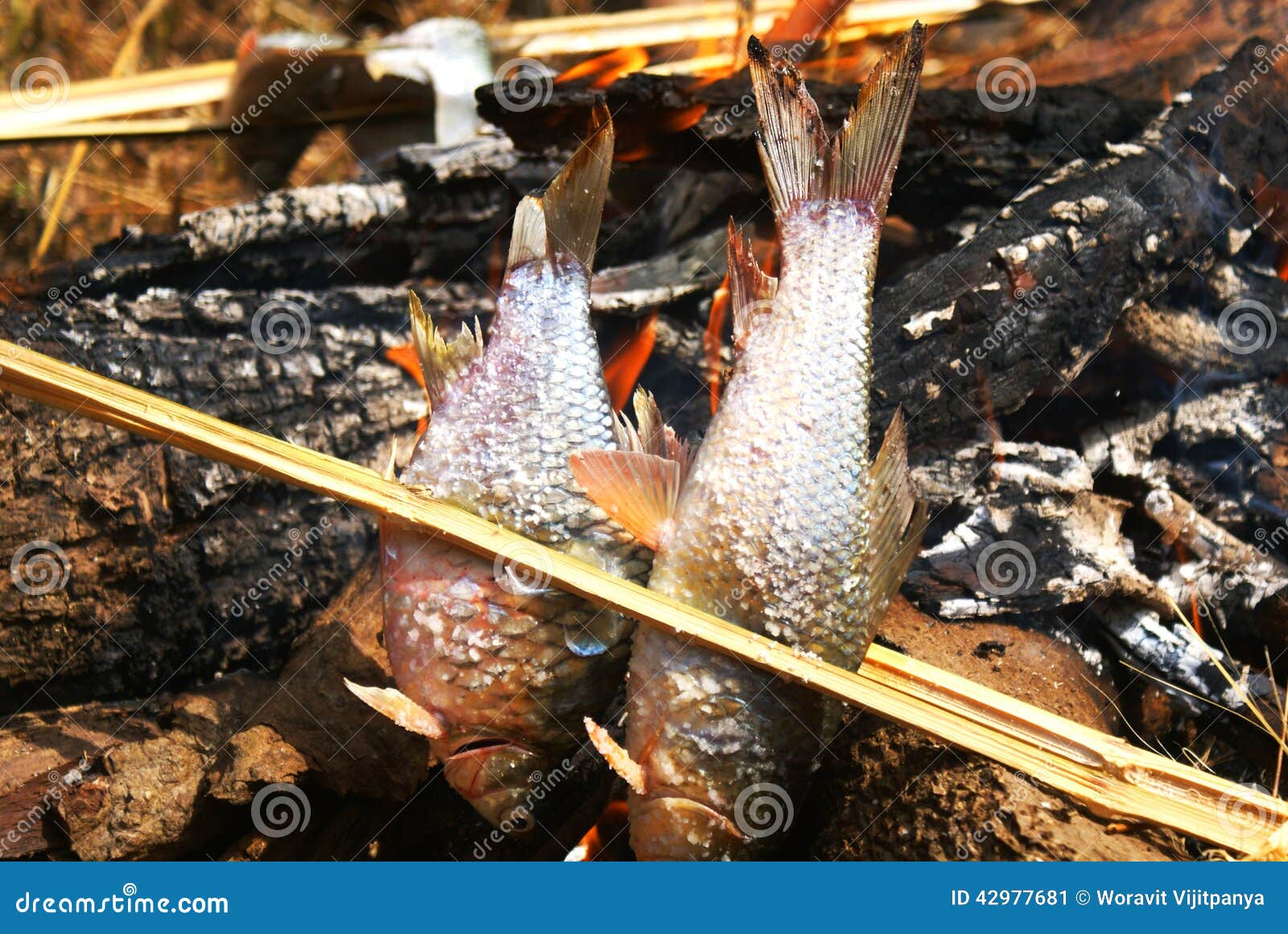 Fish grill on fire stock image. Image of animal, kitchen - 42977681