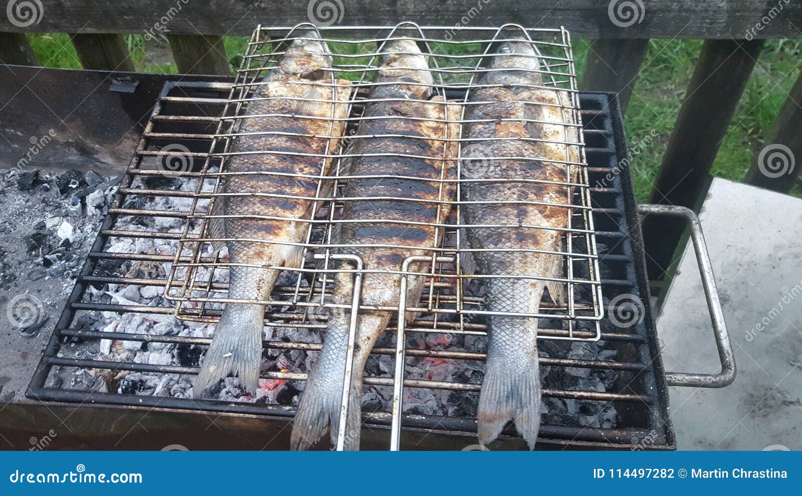 Fish Grill stock photo. Image of grill, fish, grillen - 114497282