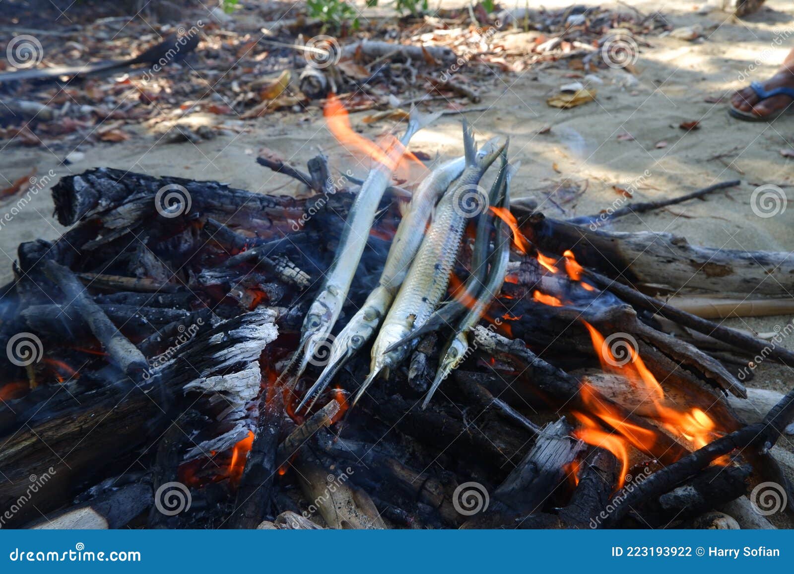 Fish grilled on a bonfire stock photo. Image of barbecue - 223193922
