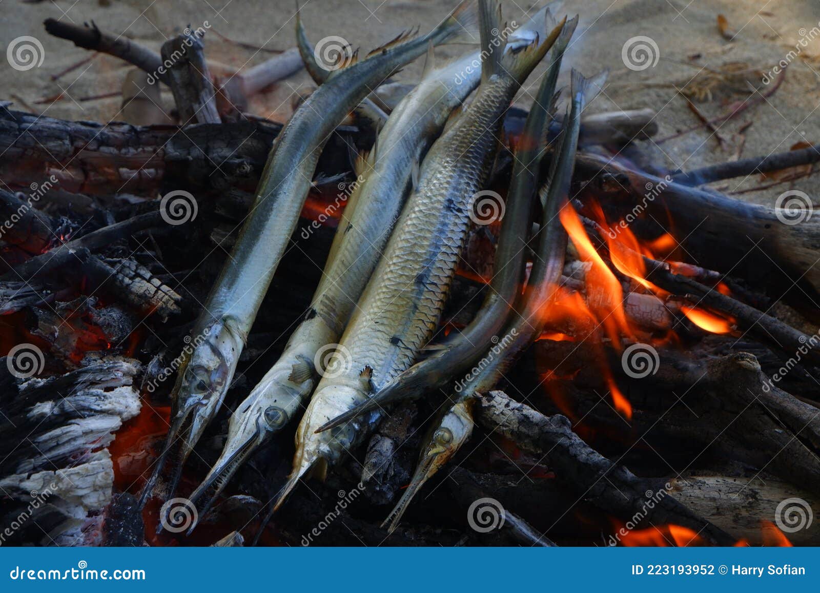 Fish grilled on a bonfire stock photo. Image of black - 223193952