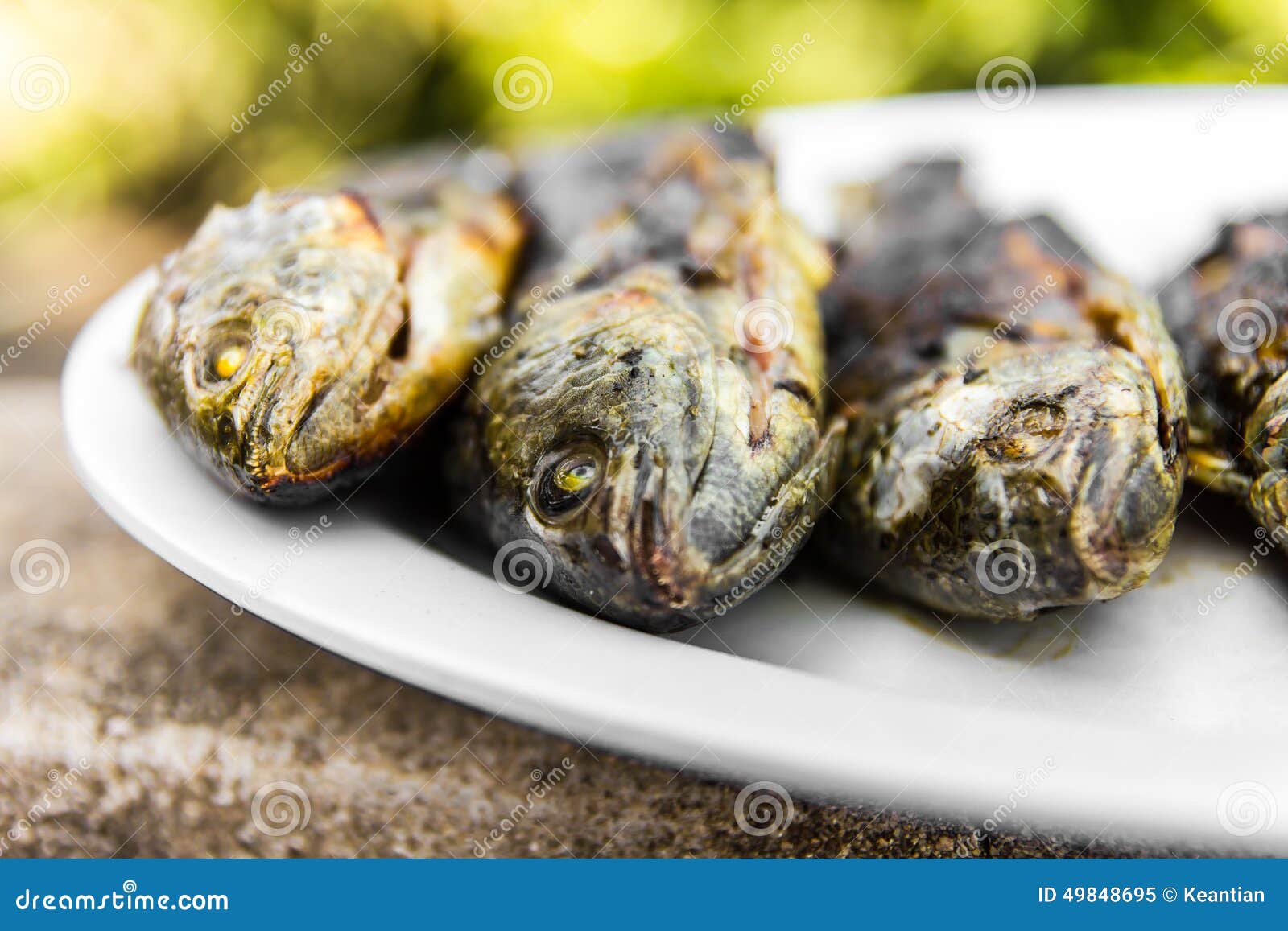 Fish grilled stock image. Image of dish, food, industry - 49848695