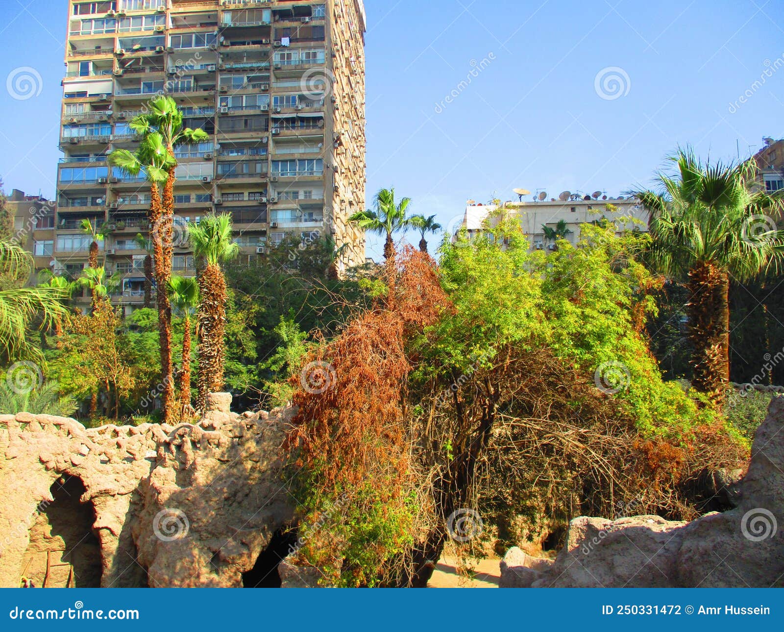 Fish Grotto Garden in Cairo in Egypt Editorial Photography - Image of ...
