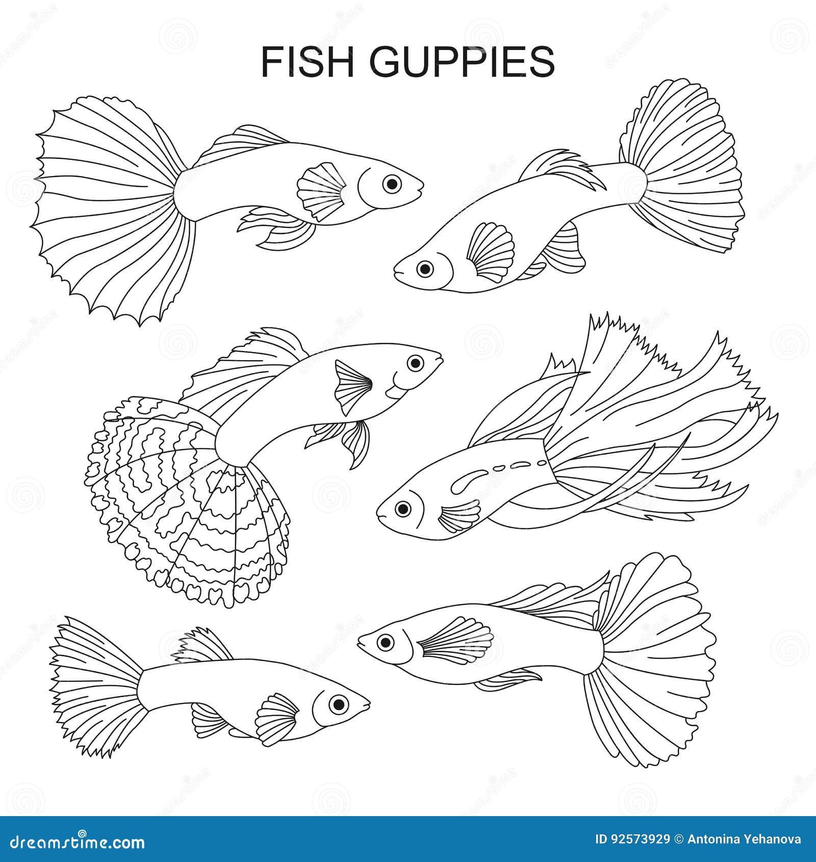 The fish are guppies. stock vector. Illustration of isolated - 92573929