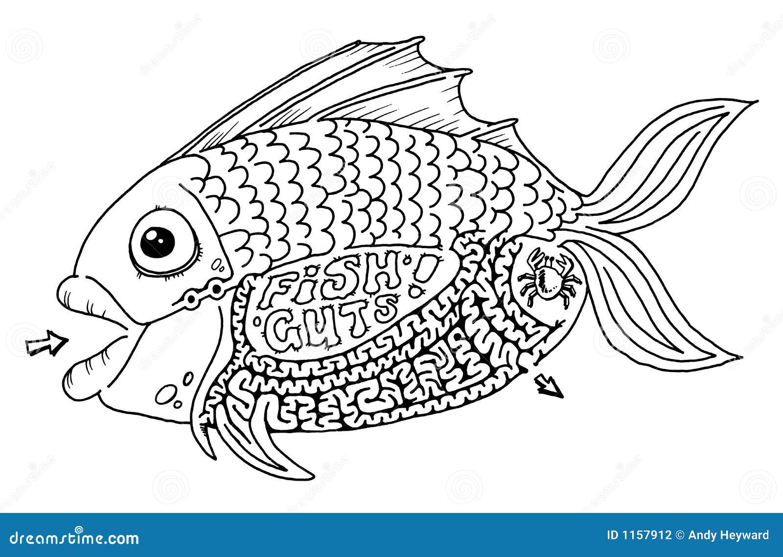 Intestines, Guts Isolated On White Background. Digestive Tract. Colon ...