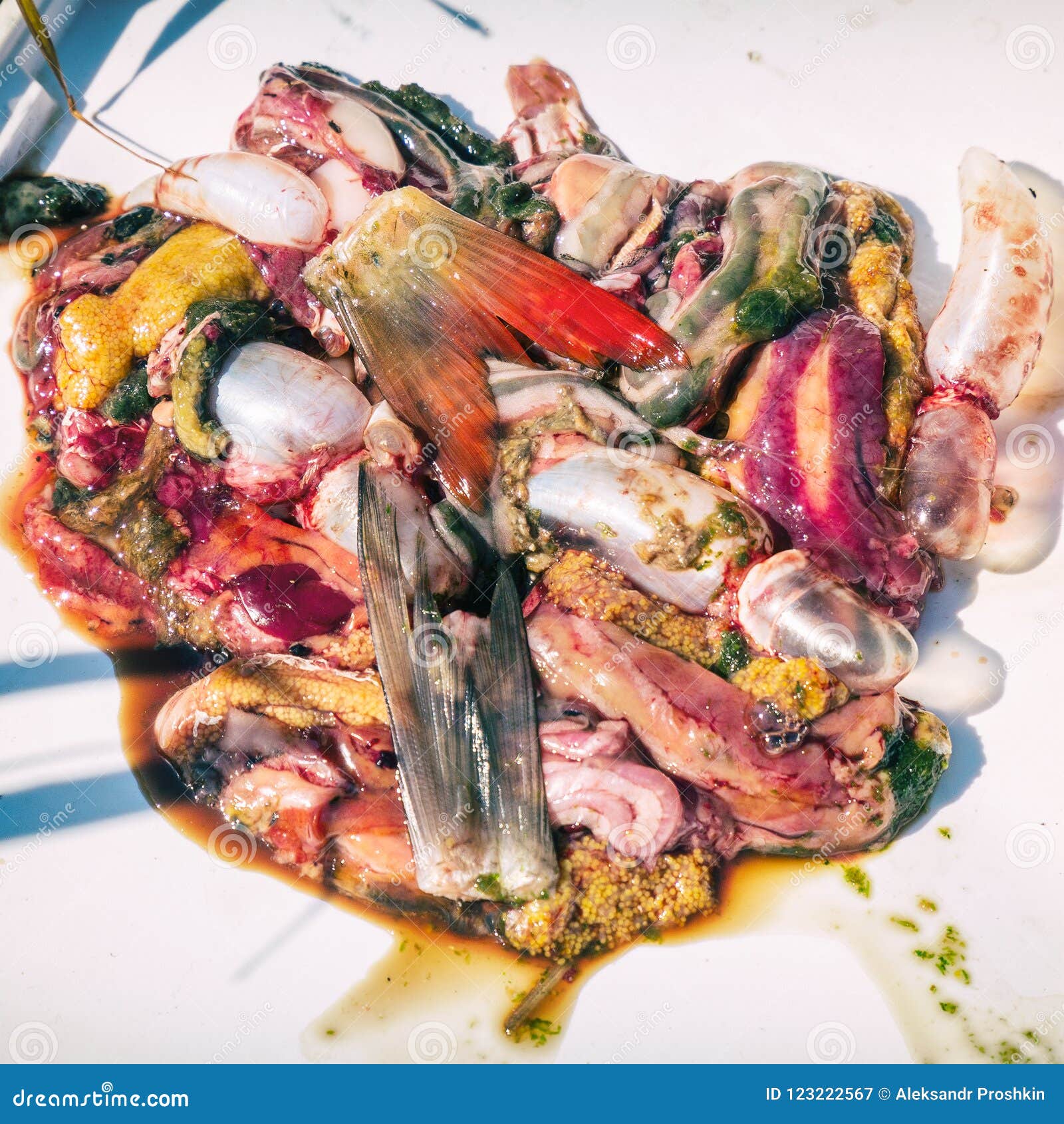 Fish guts offal on white stock image. Image of garbage - 123222567