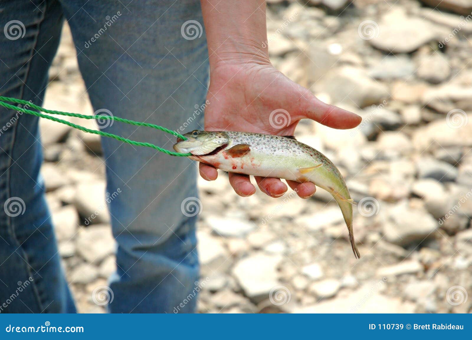Fish In Hand Picture. Image: 110739