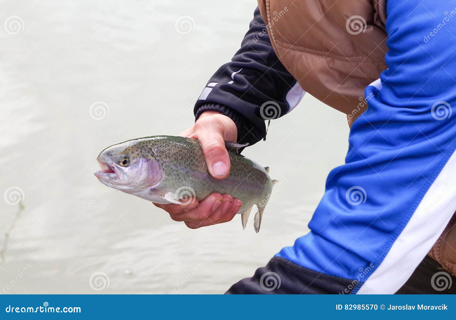 Fish in hand stock photo. Image of caught, fisherman - 82985570