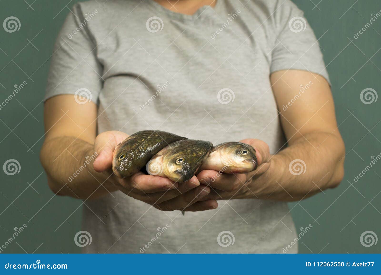 Fish in hand stock photo. Image of food, kitchen, cooking - 112062550