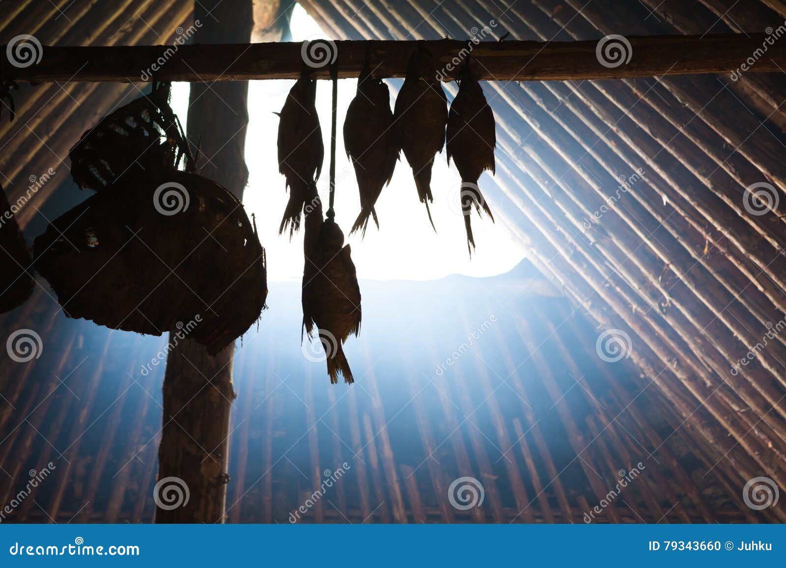 Fish Hanging in Stone Age Hut Stock Photo - Image of hanging ...