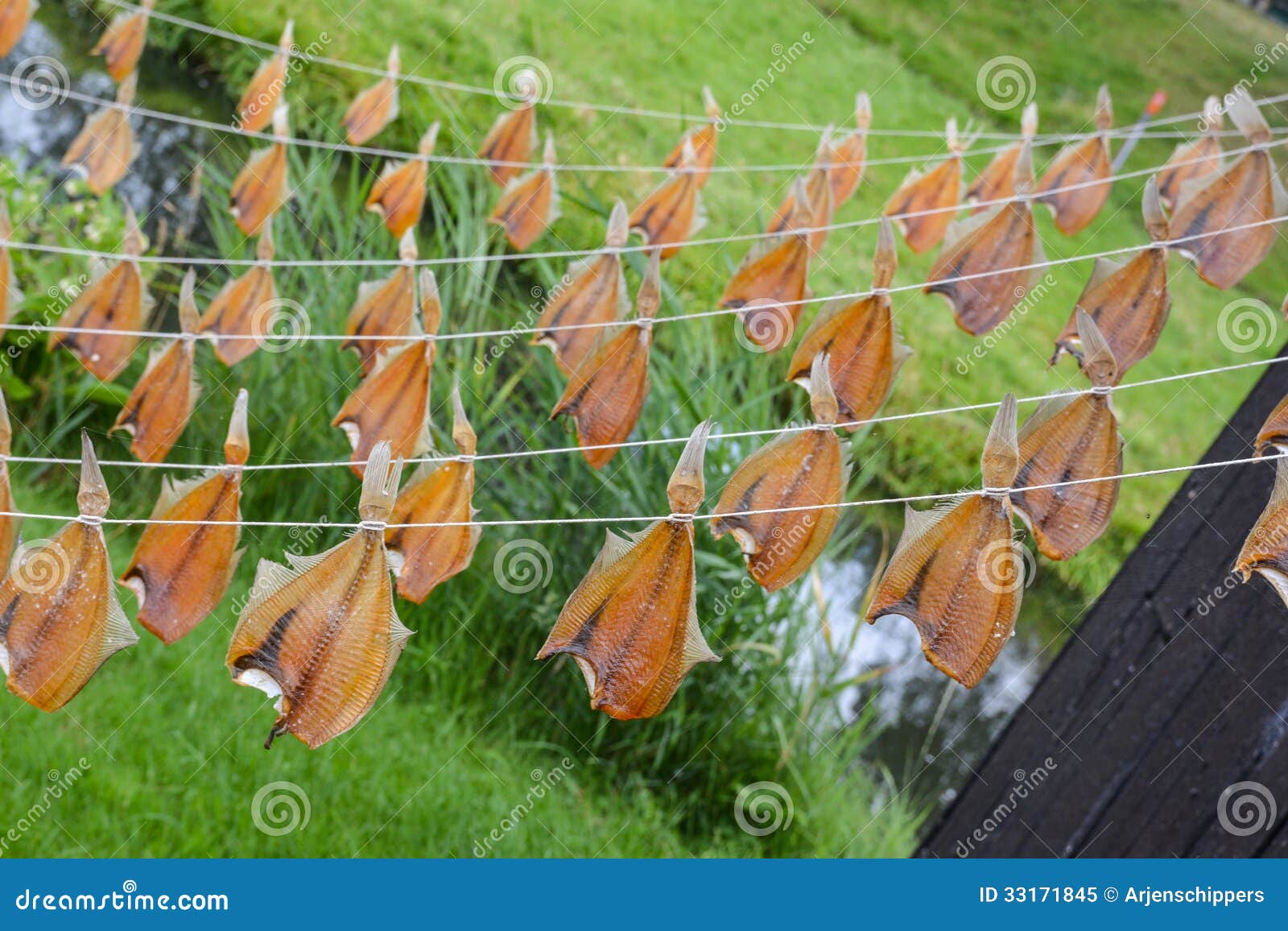 Fish hanging to dry stock image. Image of drying, market - 33171845