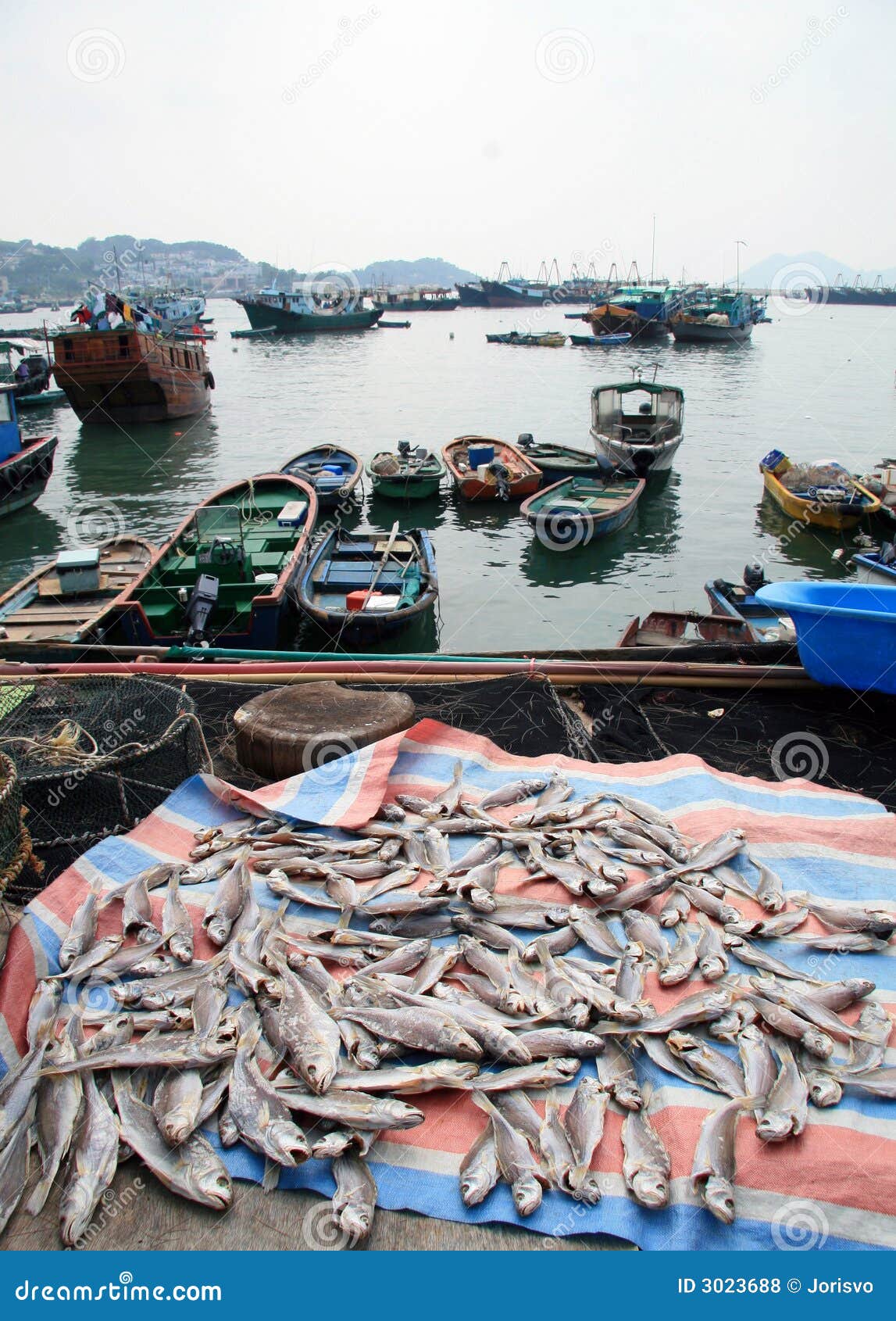 Fish harbor Hong Kong stock photo. Image of drying, boatpeople - 3023688