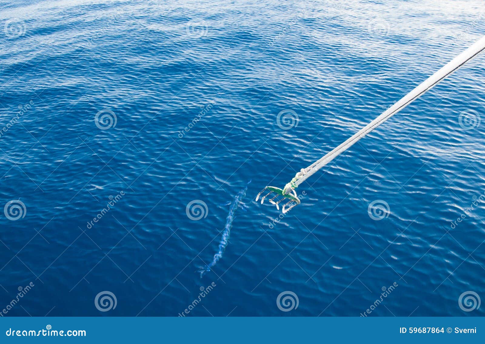 Fish with the harpoon stock photo. Image of great, messina - 59687864