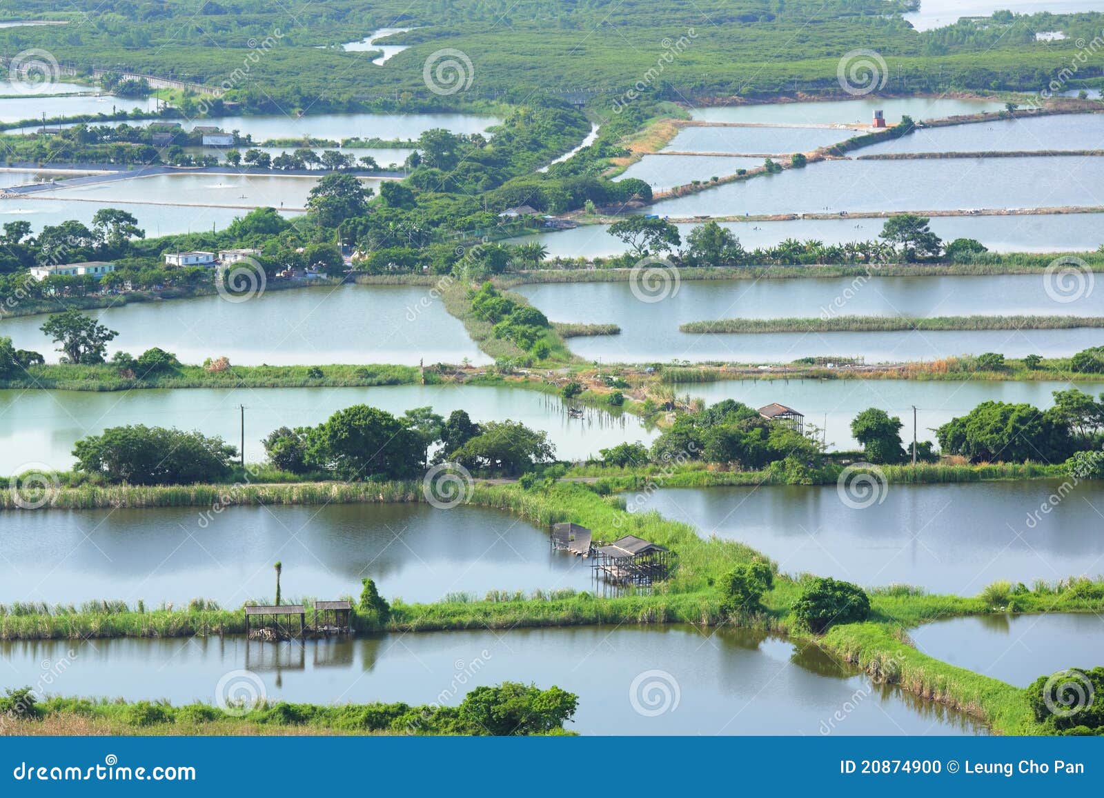 Fish Hatchery Pond stock photo. Image of forest, aquaculture - 20874900