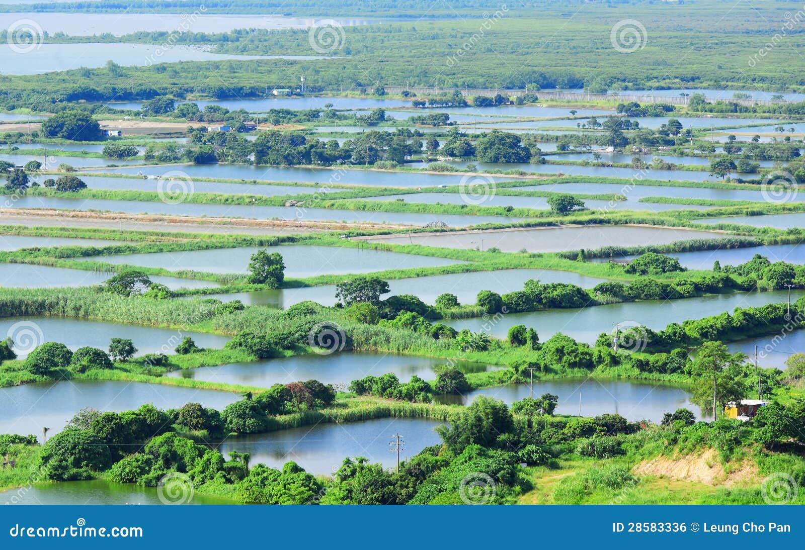 Fish hatchery pond stock photo. Image of summer, farm - 28583336