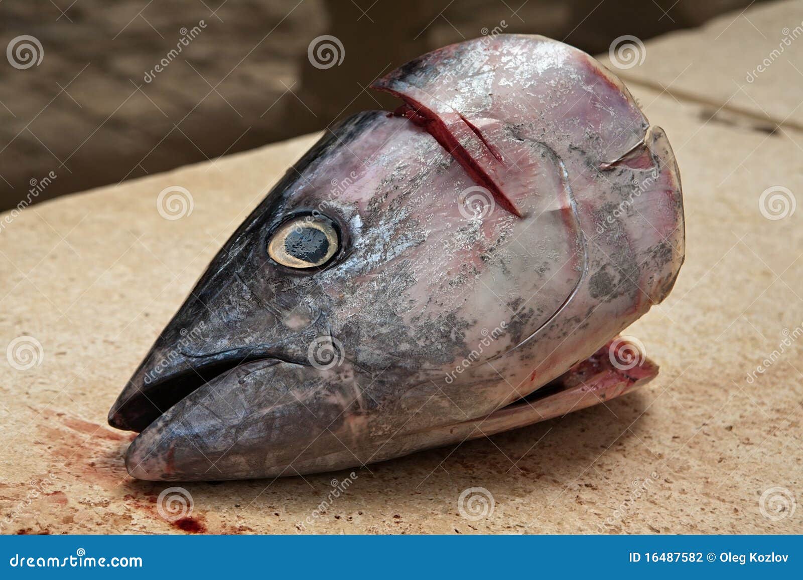Fish head stock photo. Image of mouth, head, fish, market - 16487582