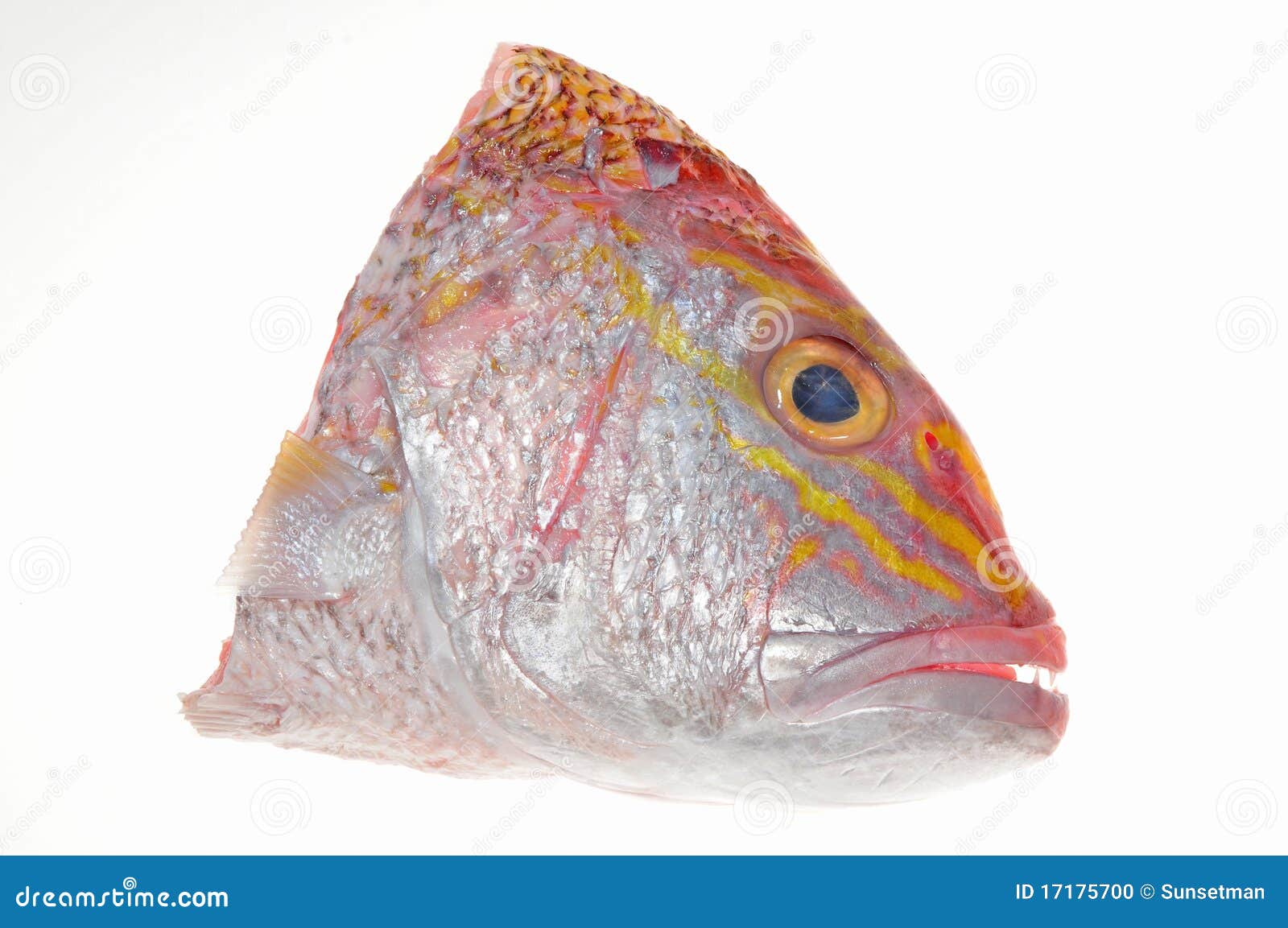 Fish Head stock photo. Image of paste, meal, seasoning - 17175700