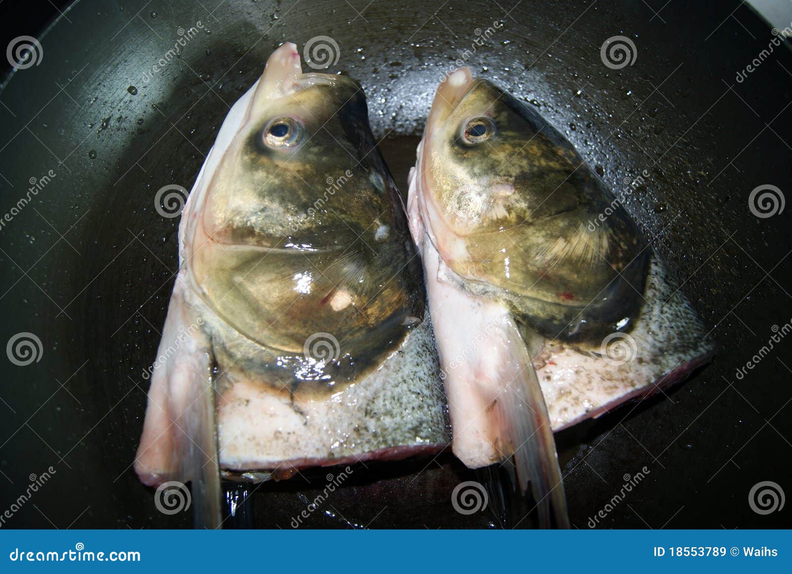 Fish head stock image. Image of aquatic, seductive, catch - 18553789