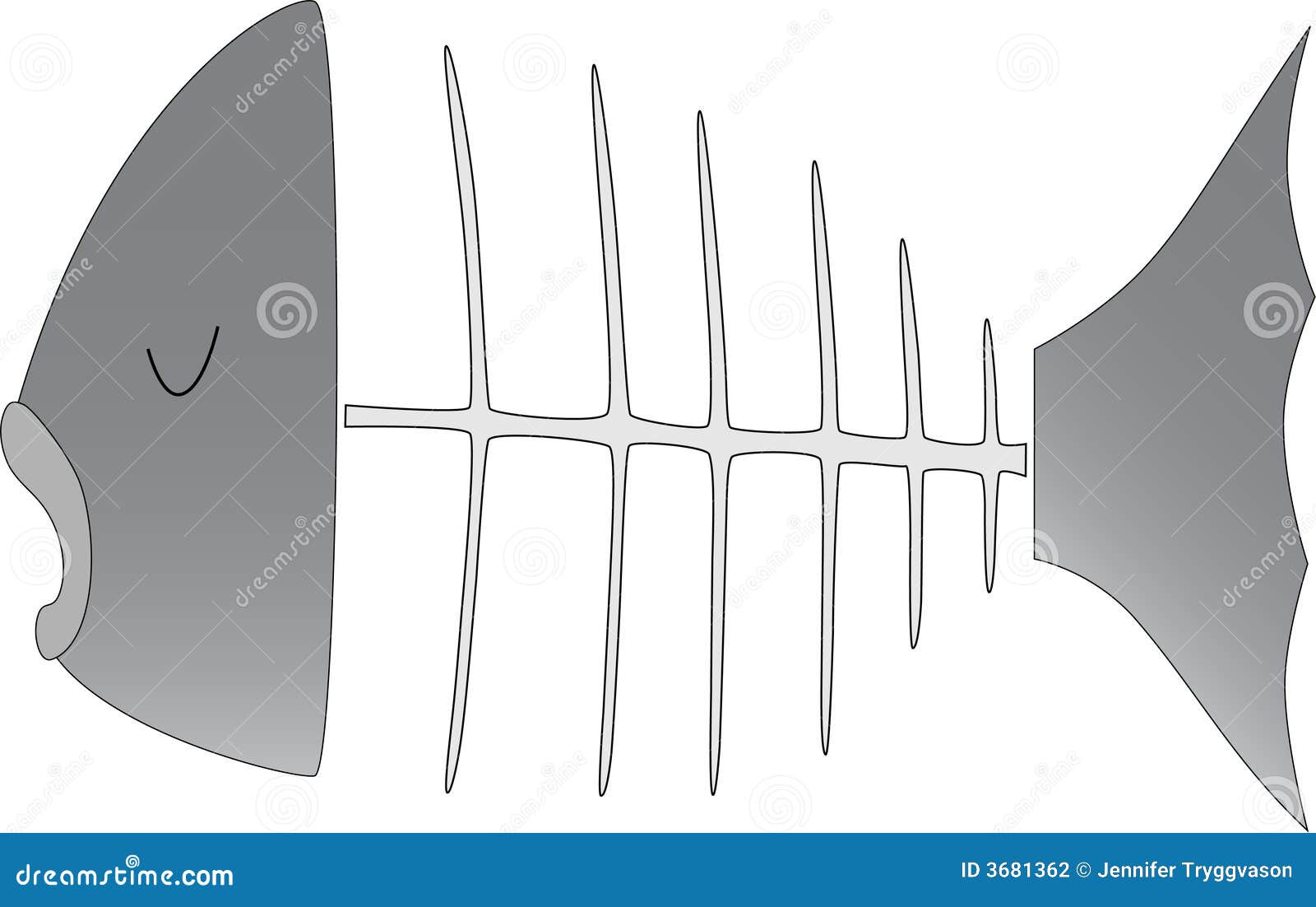 Fish Head With Gills Isolated On White. Educational Material With For ...