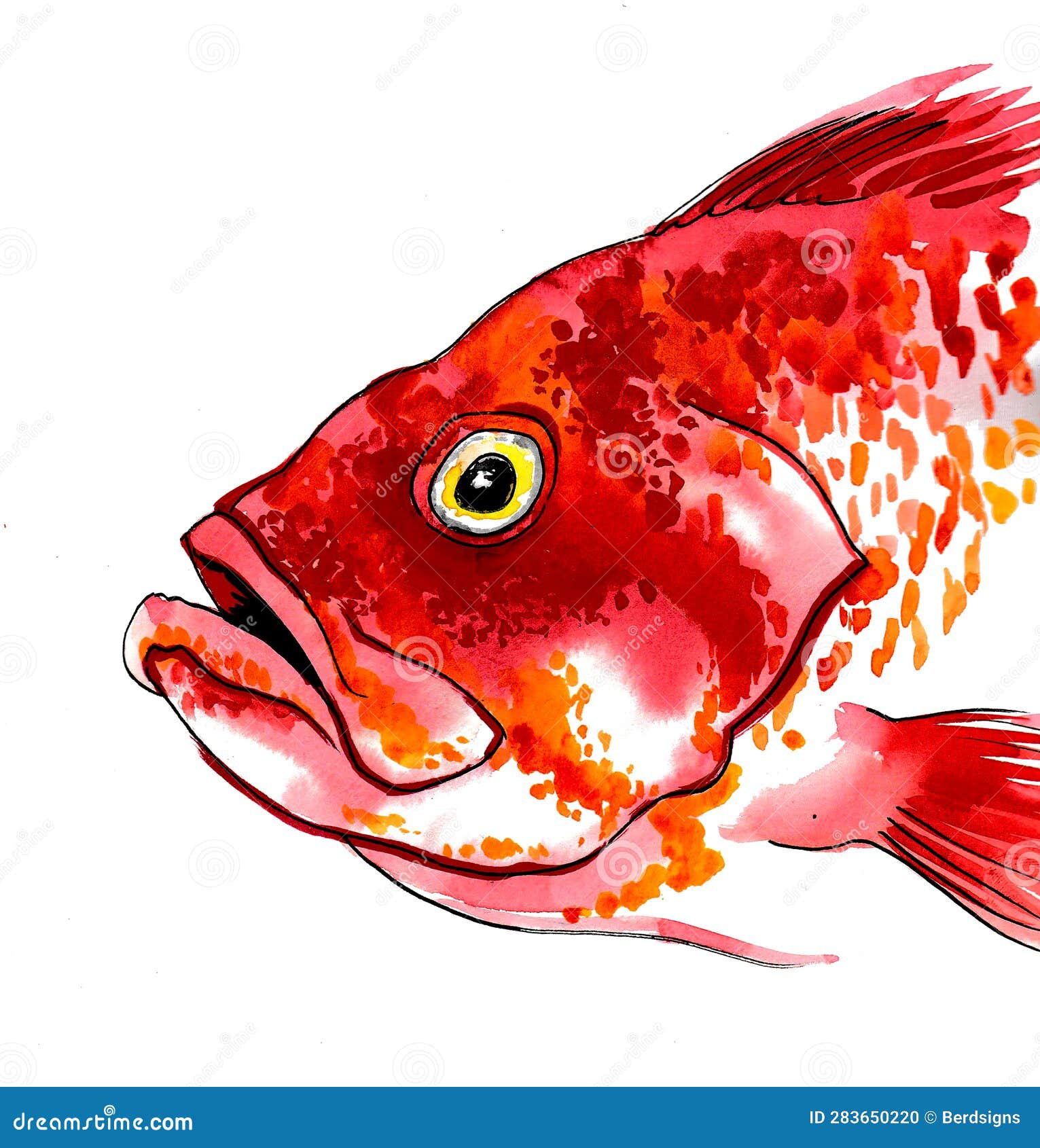 Fish head stock illustration. Illustration of cartoon - 283650220