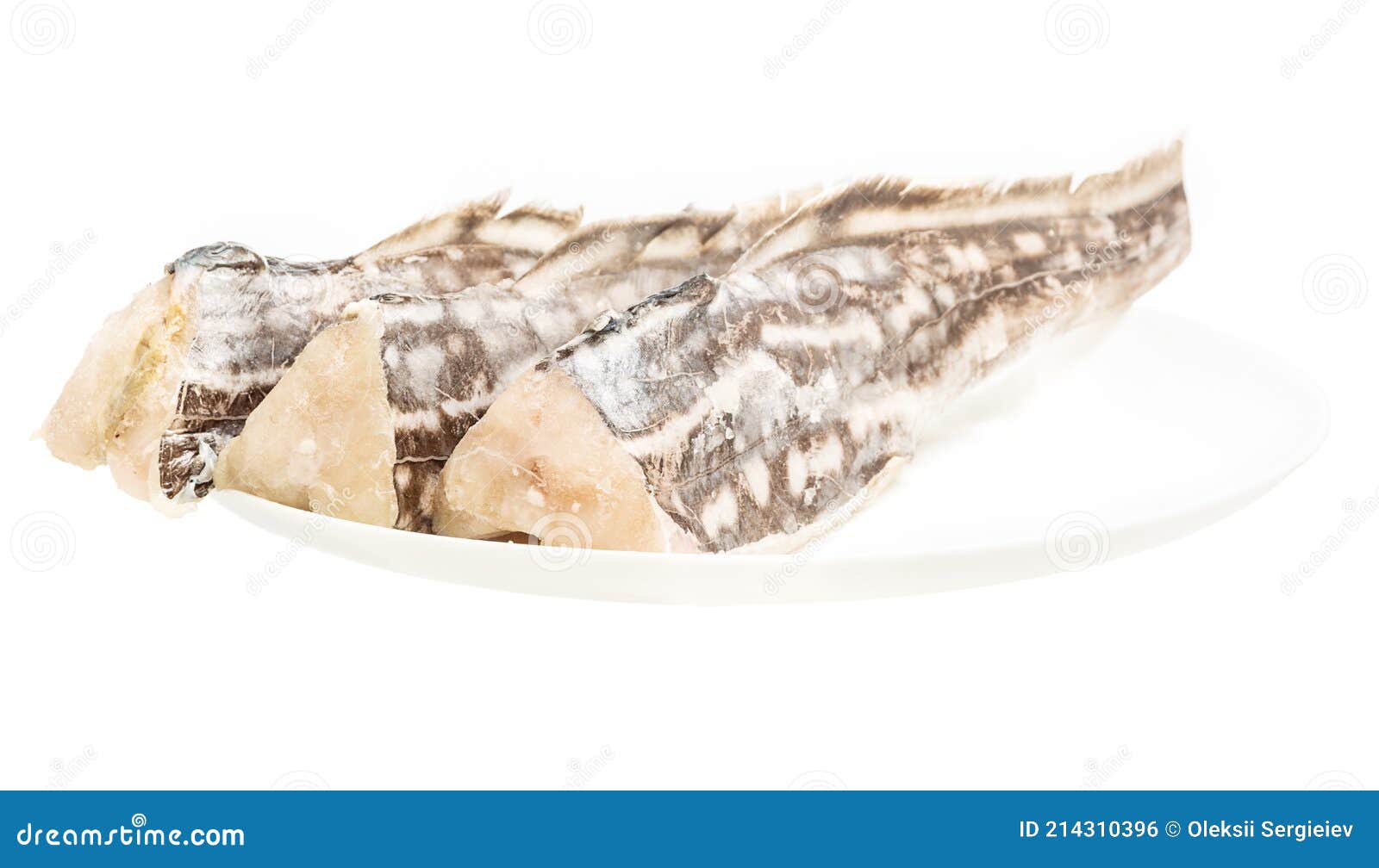 Fish without Head on a White Background Stock Photo - Image of animal ...