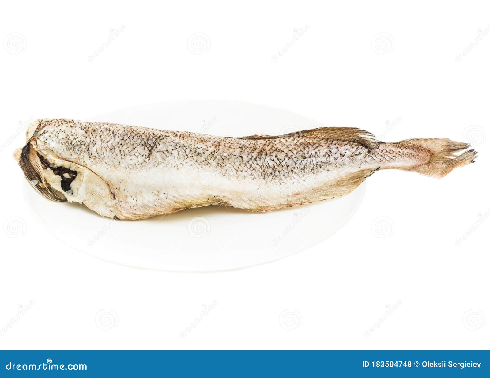 Fish without Head on a White Background Stock Photo - Image of frost ...