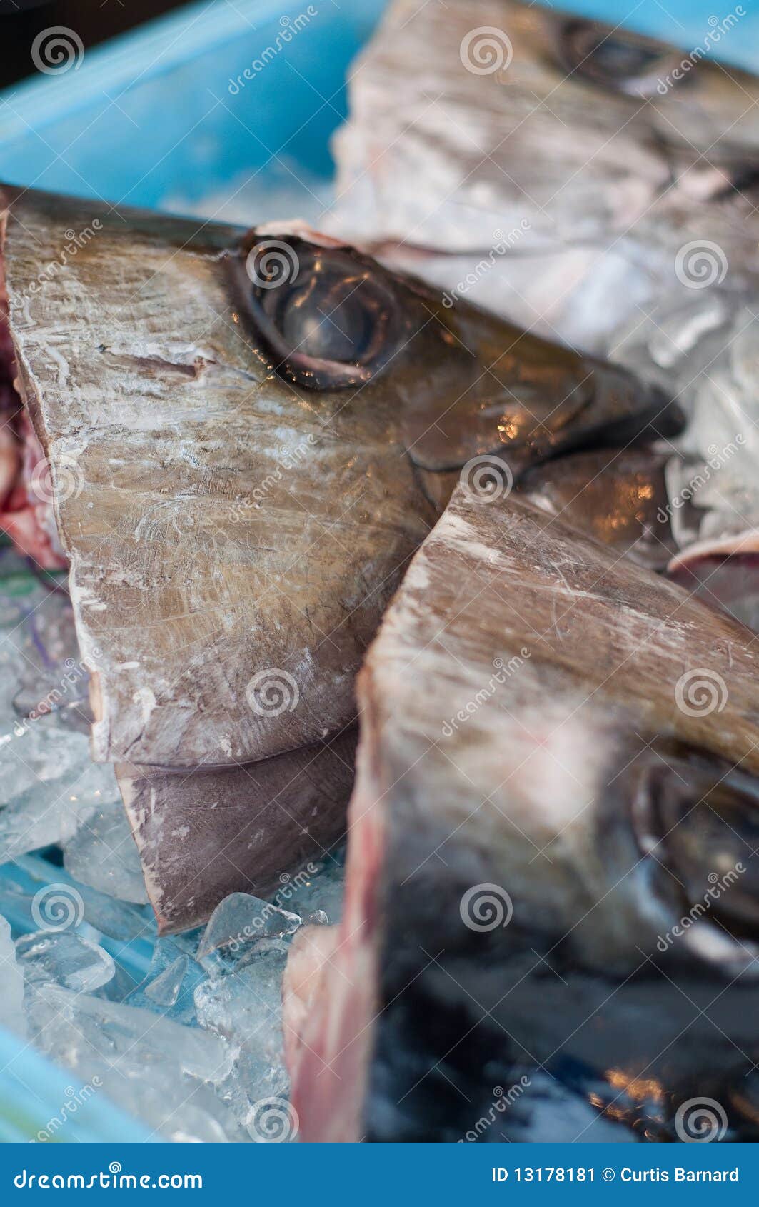 Fish Heads stock image. Image of pink, head, food, japan - 13178181