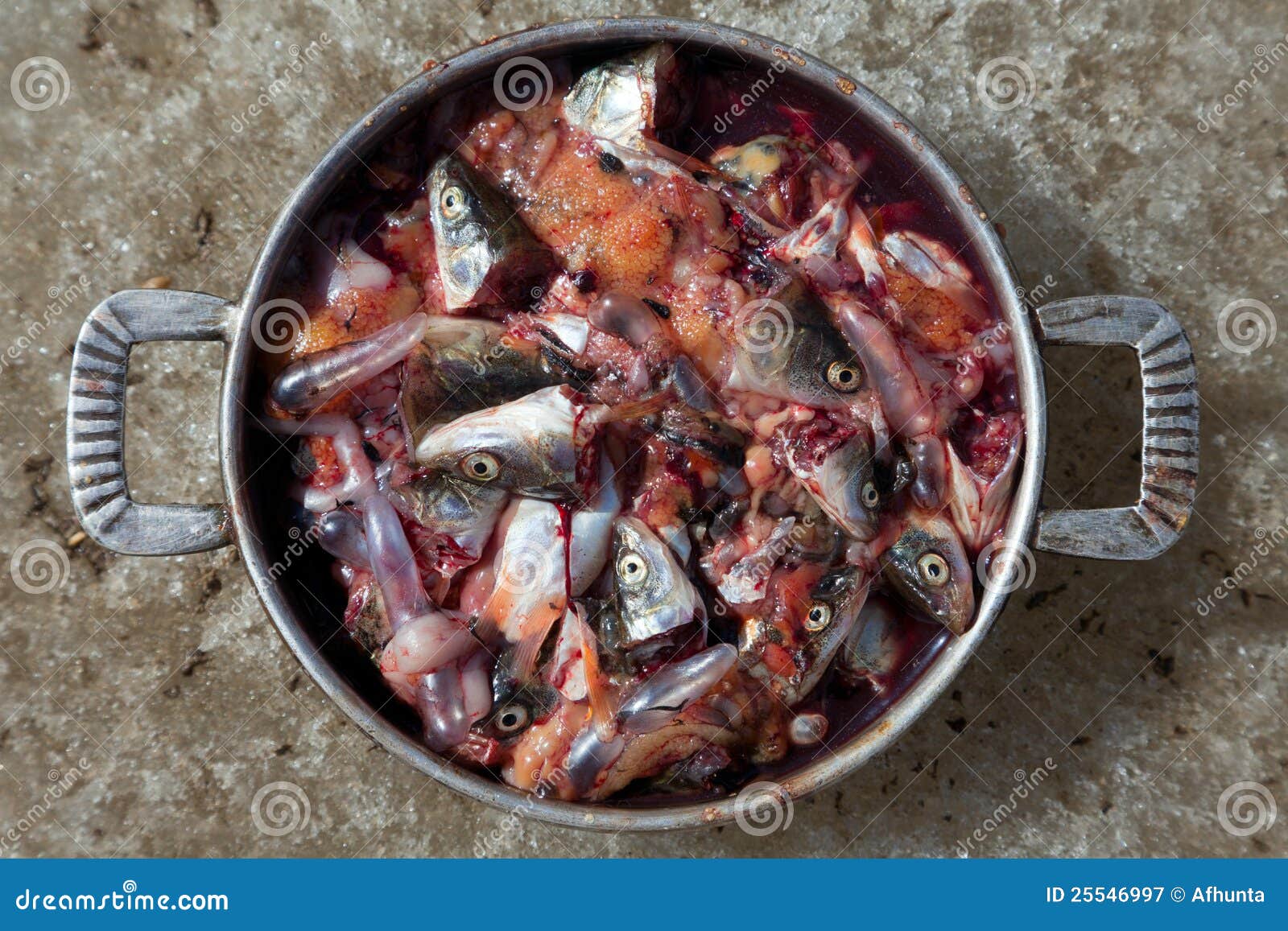 Fish heads stock image. Image of seafood, bait, group - 25546997