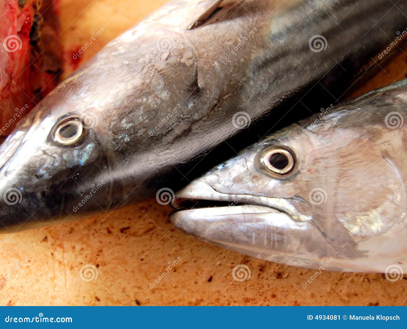 Cod Fish Heads Royalty-Free Stock Image | CartoonDealer.com #16685638