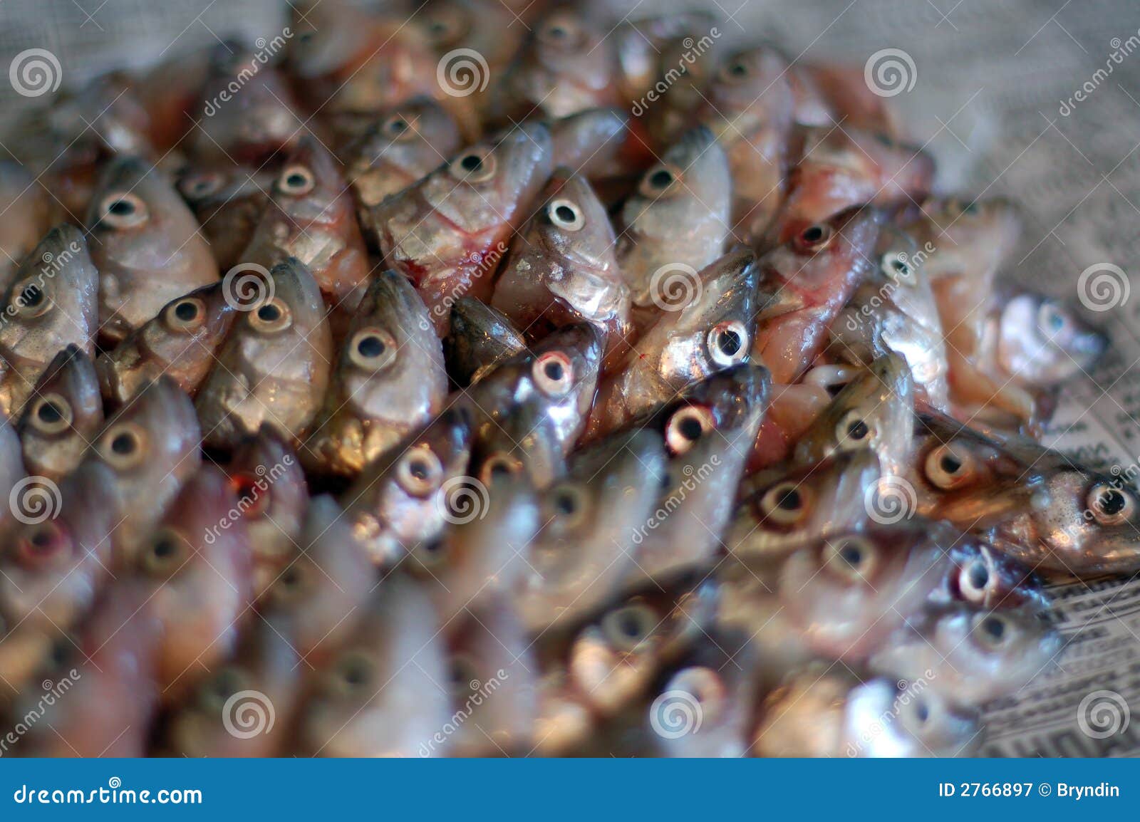 Fish heads on paper stock image. Image of market, paper - 2766897