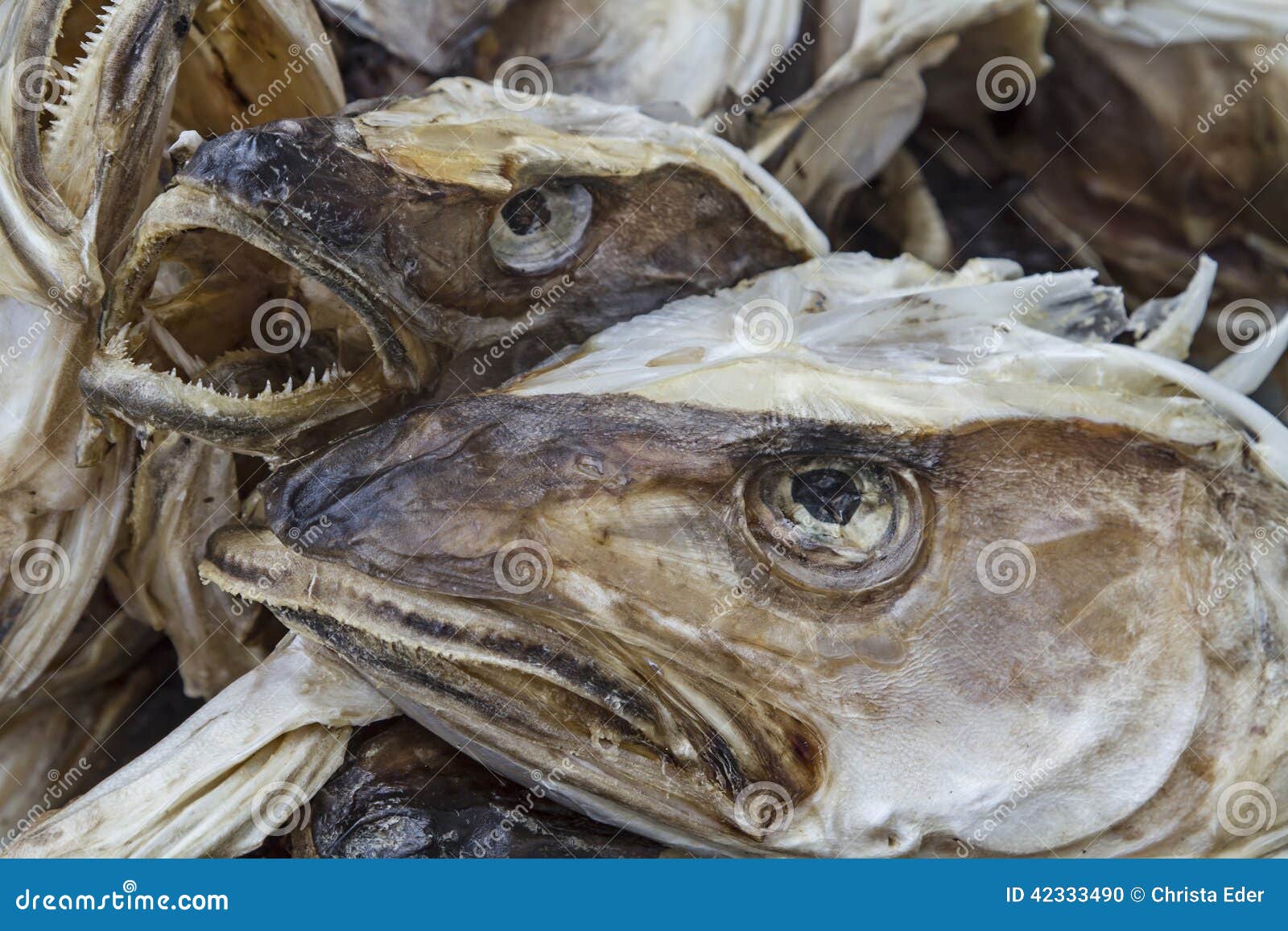 Fish heads stock photo. Image of klipfish, heads, soup - 42333490