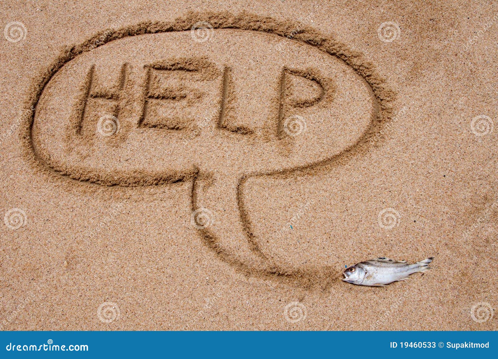 Fish Help stock image. Image of please, fish, care, help - 19460533