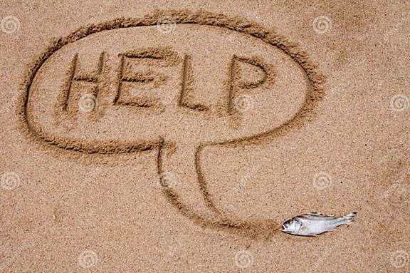 Fish Help stock image. Image of please, fish, care, help - 19460533