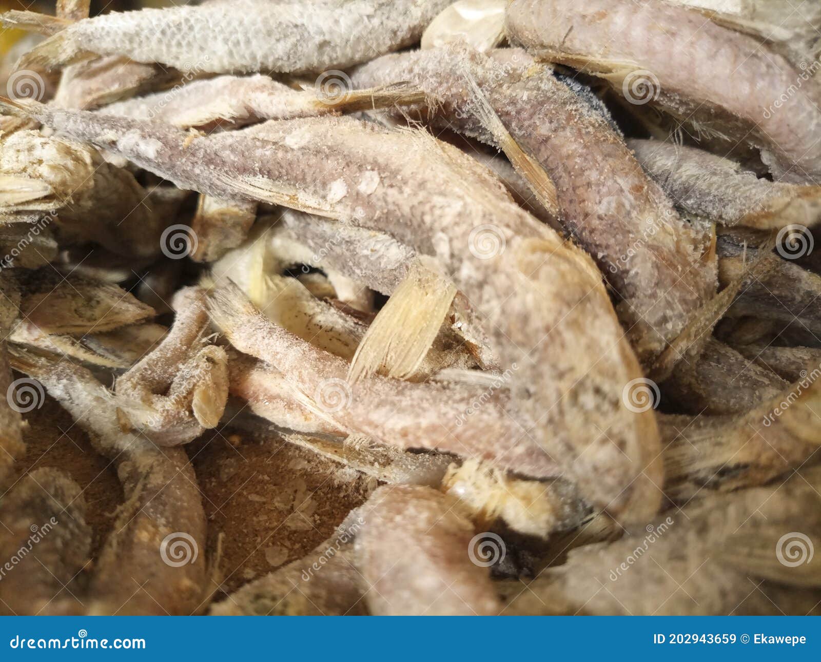 Processed Fish Sold in the Indonesian Market Stock Image - Image of ...