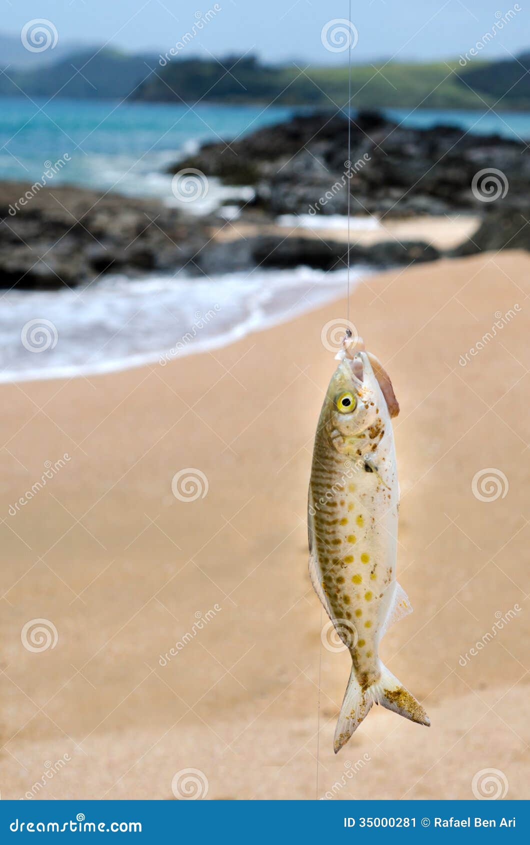 Fish on a hook stock image. Image of catch, riverbank - 35000281