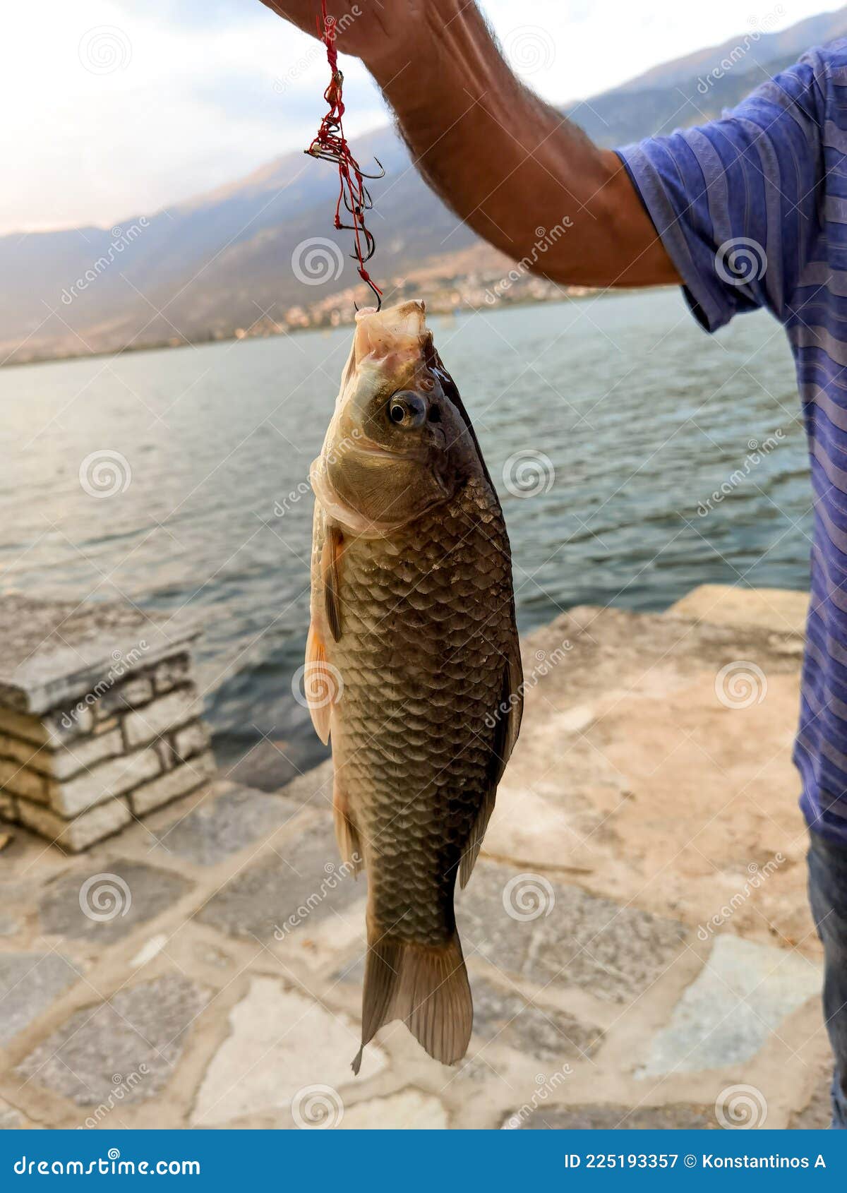 Fish on the hook stock image. Image of hobby, greece - 225193357
