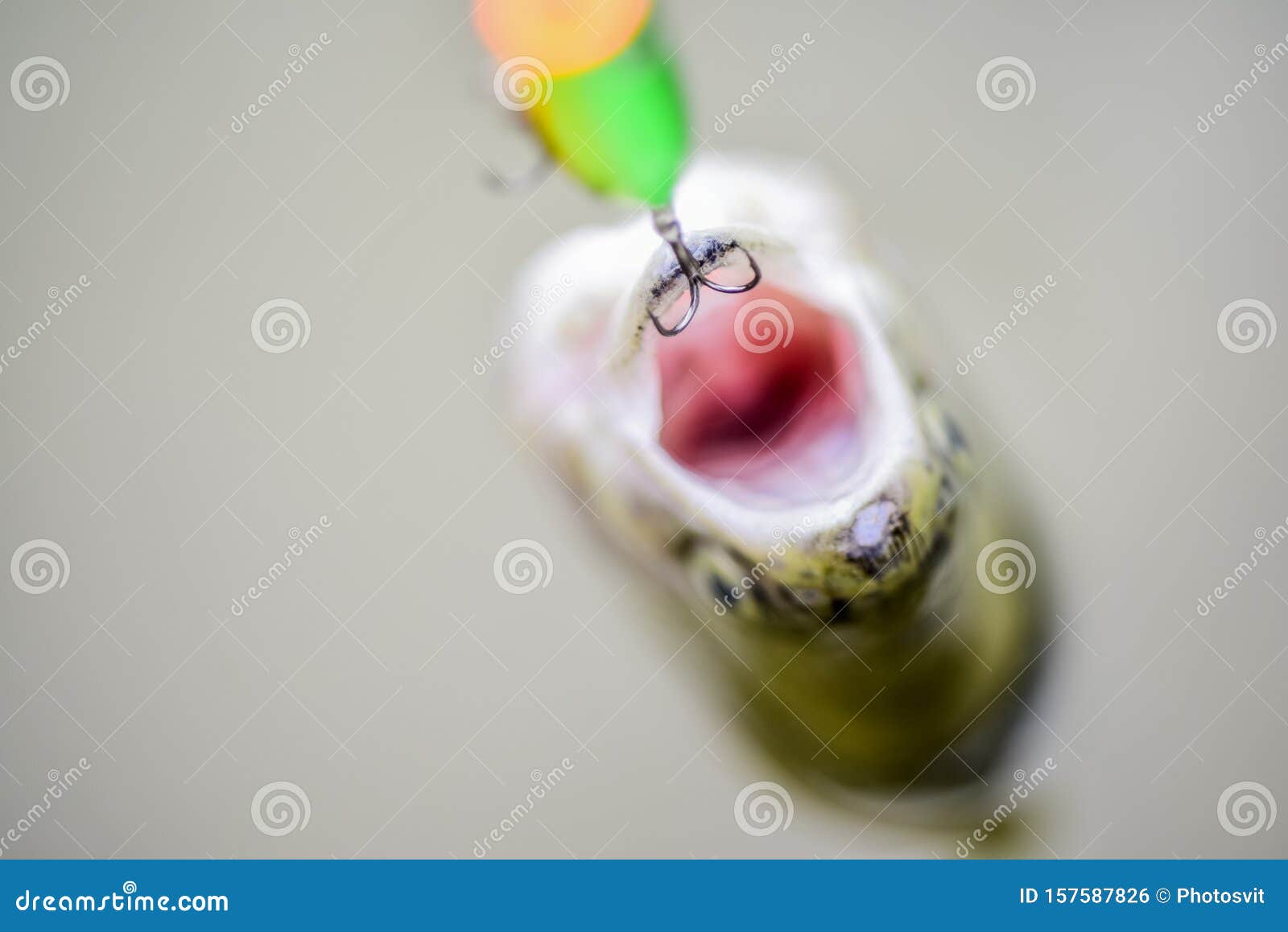 Fish Hook or Fishhook is Device for Catching Either by Impaling in ...