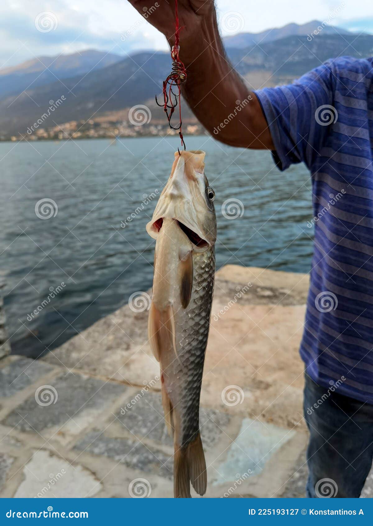 Fish on the hook stock image. Image of fingers, ioannina - 225193127