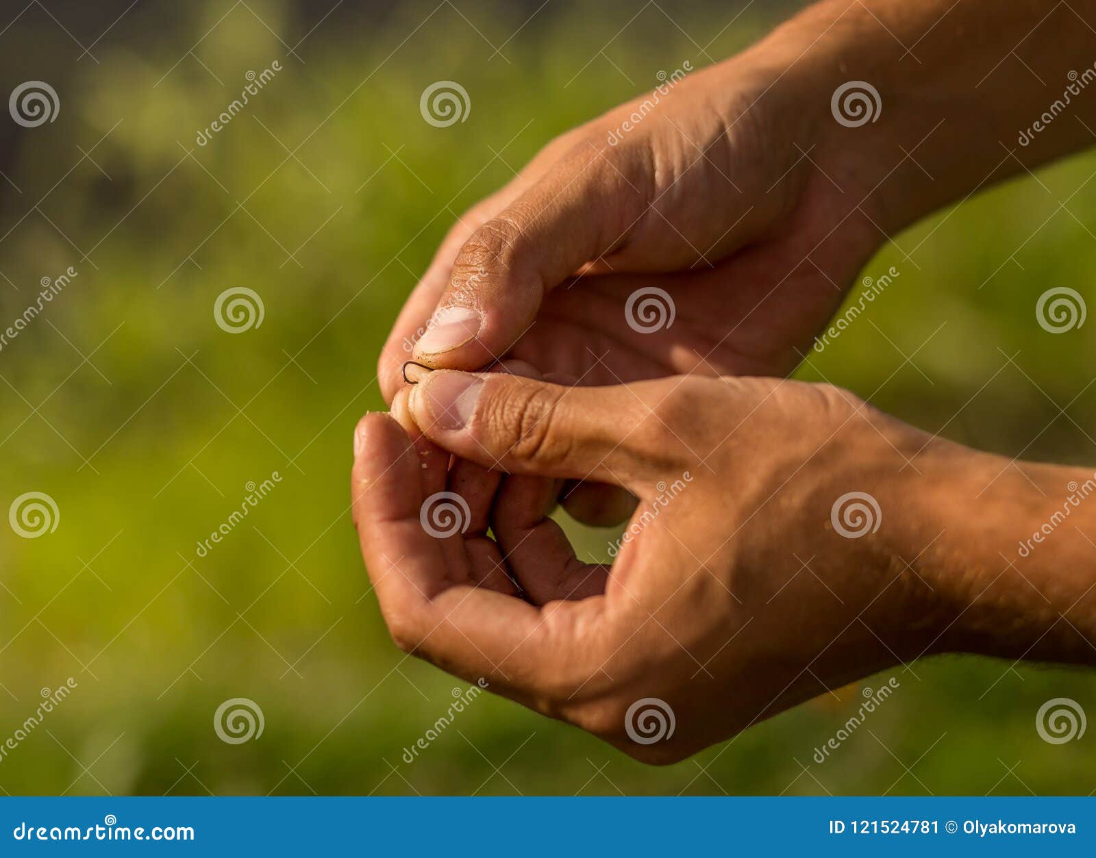 Fish Hook with Maggots in Male Hands Stock Image - Image of fisher ...