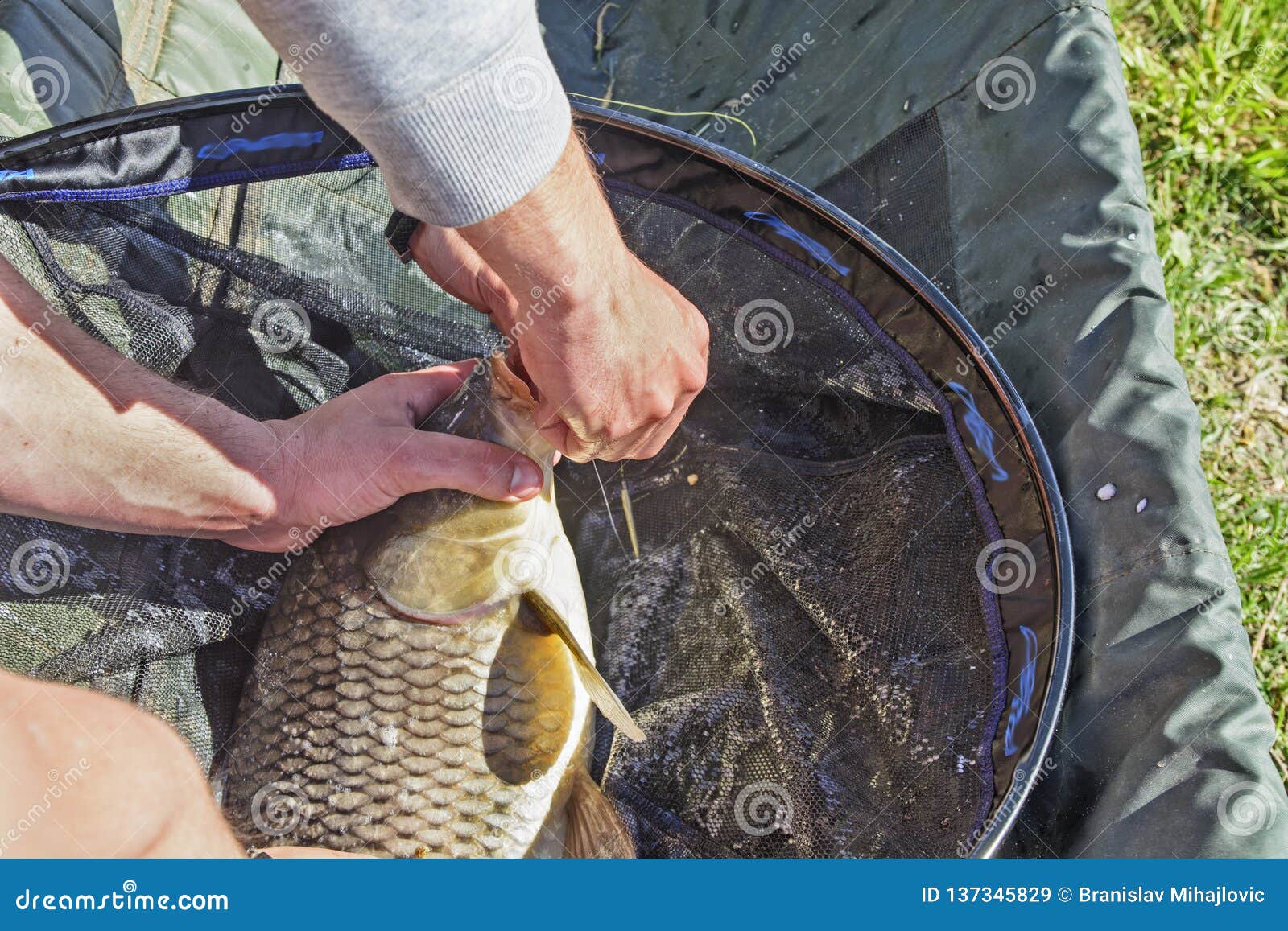 Fish with a Hook in the Mouth Stock Image - Image of hand, animal ...