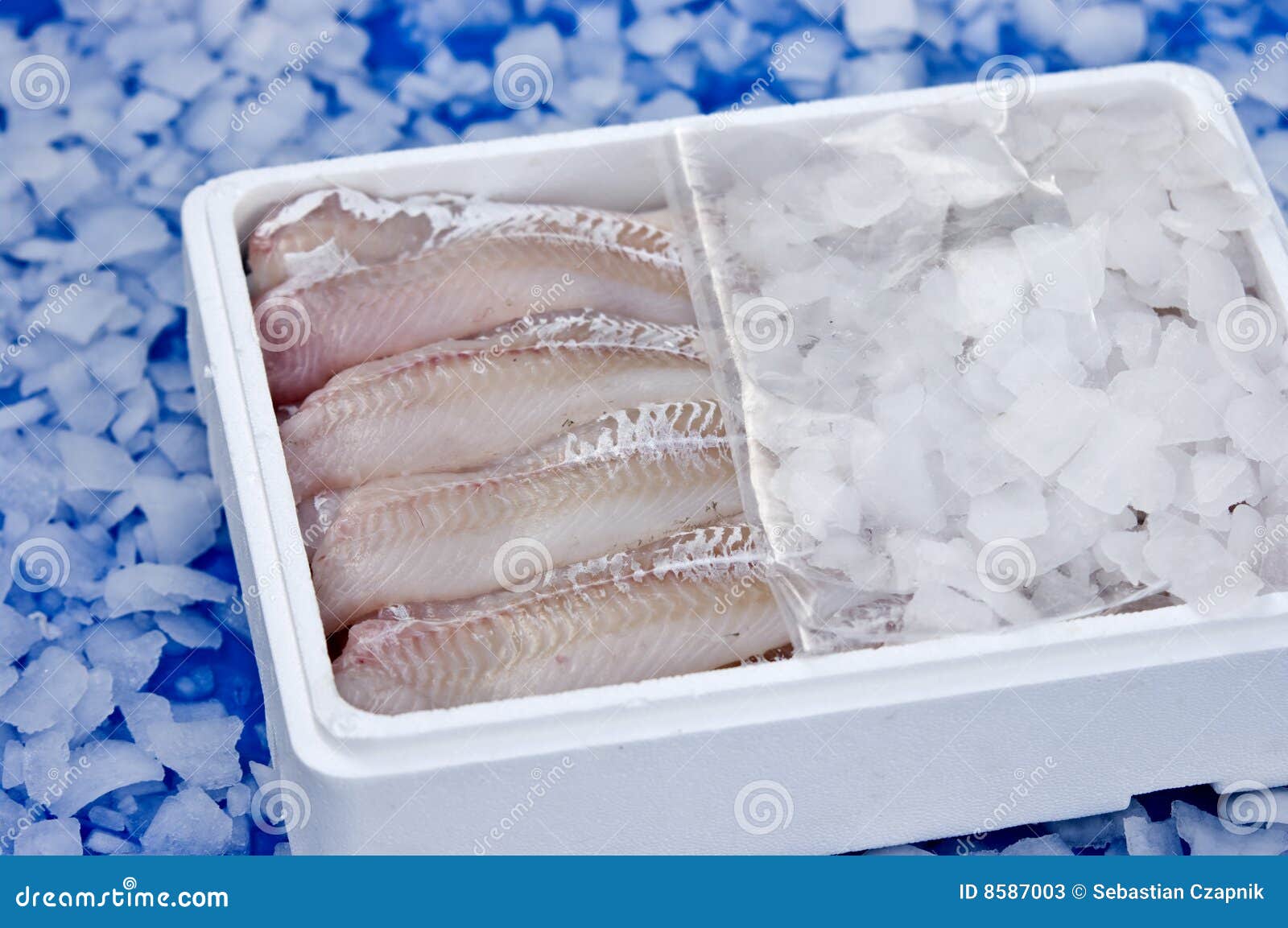 Fish in ice stock image. Image of processing, freeze, manufacture - 8587003
