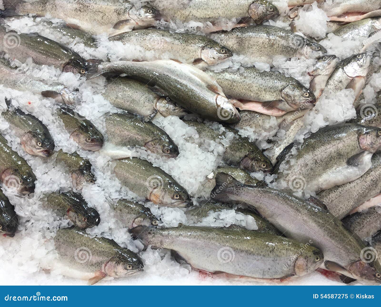 Fish on ice stock image. Image of dinner, food, organic - 54587275